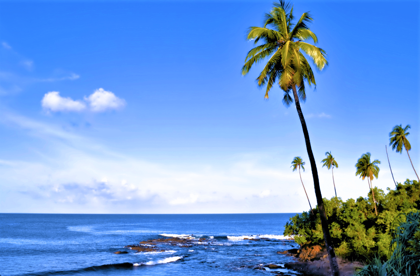 Discover Andaman Island Tourism – Plan Your Trip Now