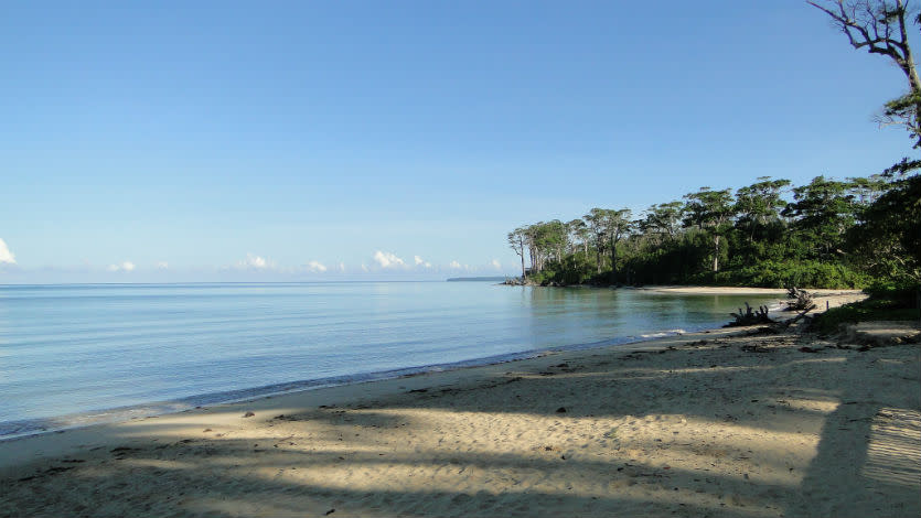 Places to Visit in Baratang Island, How to Reach Baratang Island ...