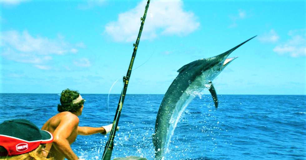 Game Fishing in Andaman Islands, Book Game Fishing Tour Package in ...