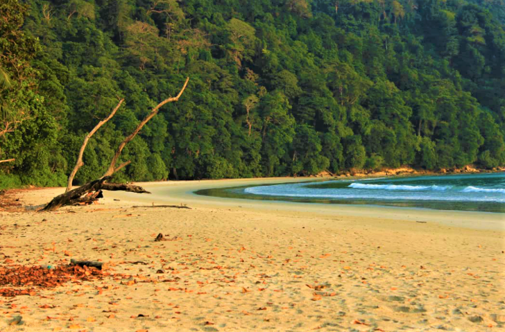 Radhanagar Beach Havelock Island – Top Things to Do