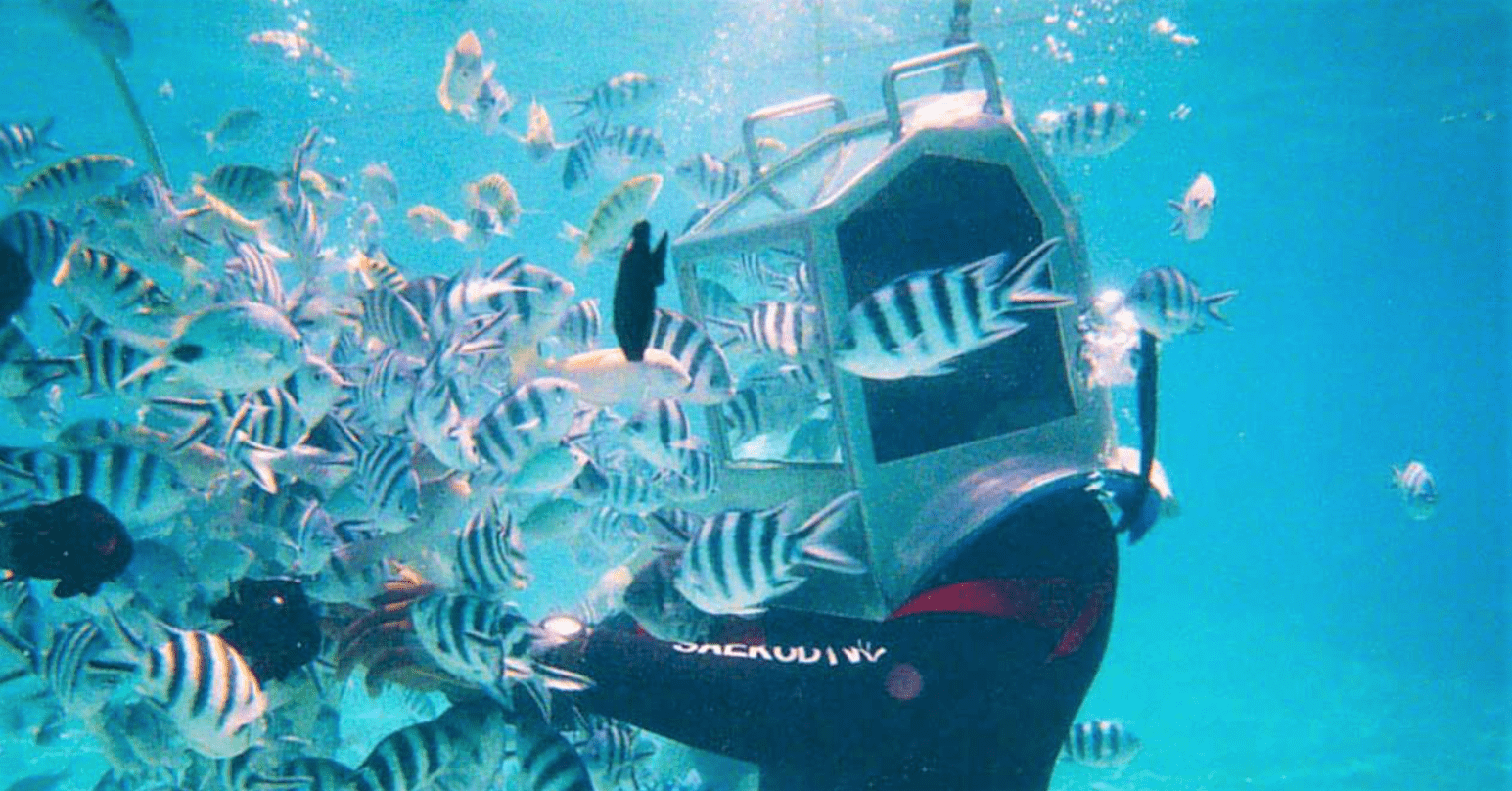 Sea Walk in Andaman Islands, Book Sea Walking Tour Package in Andaman ...