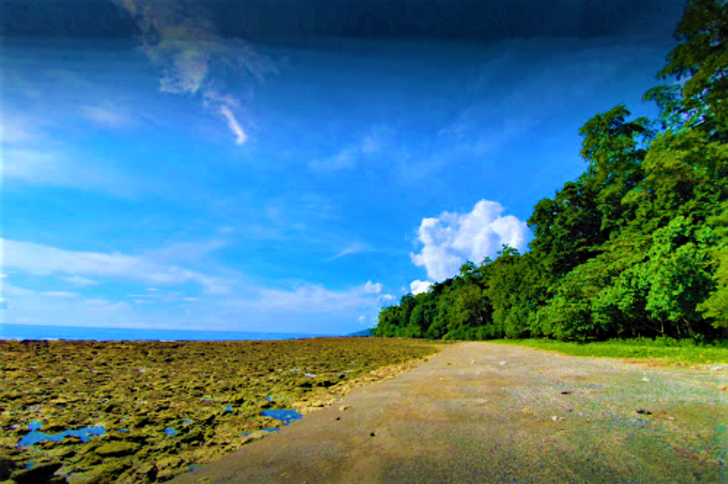 Travel Guide to Andaman Islands, Best Places to Visit in Andaman and ...