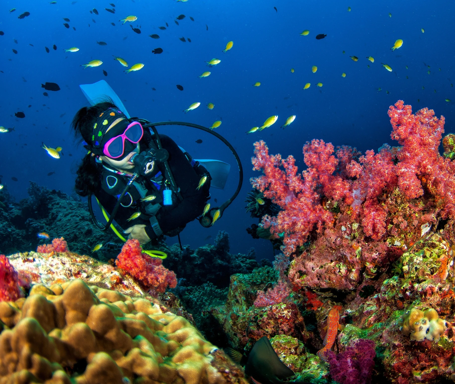 Private Boat Charter for Scuba Diving in the Andaman Islands