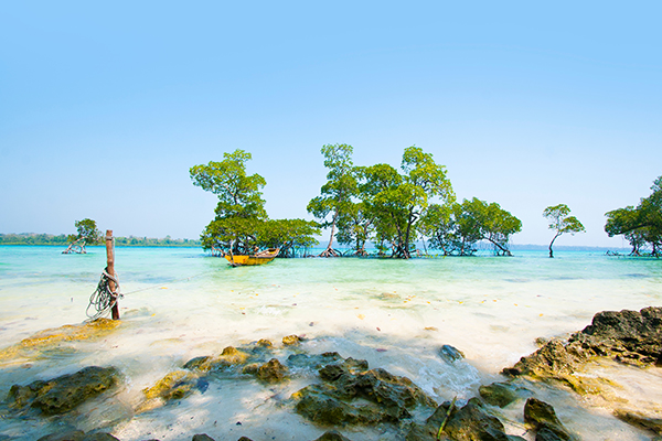 Enjoy Corbyn’s Cove Beach in Port Blair’s Serene Beauty