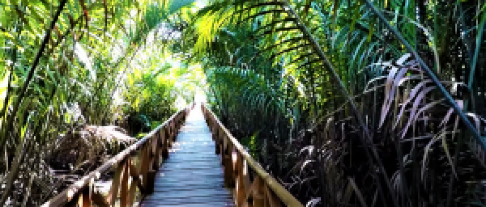 Barren Island | Andamanisland.in