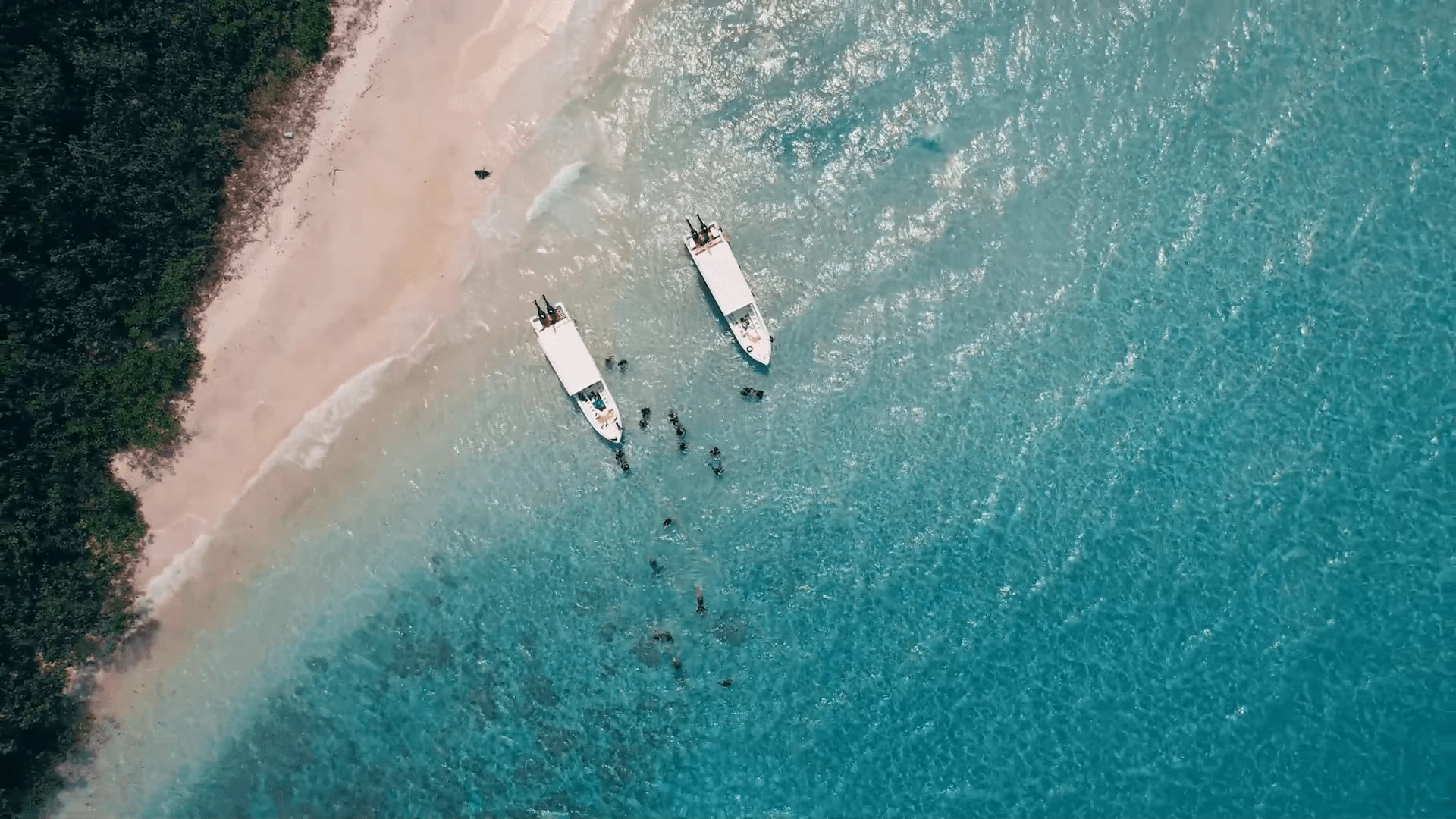 Boat Diving At Turtle Beach ( Discover Scuba Dive, PADI Program)