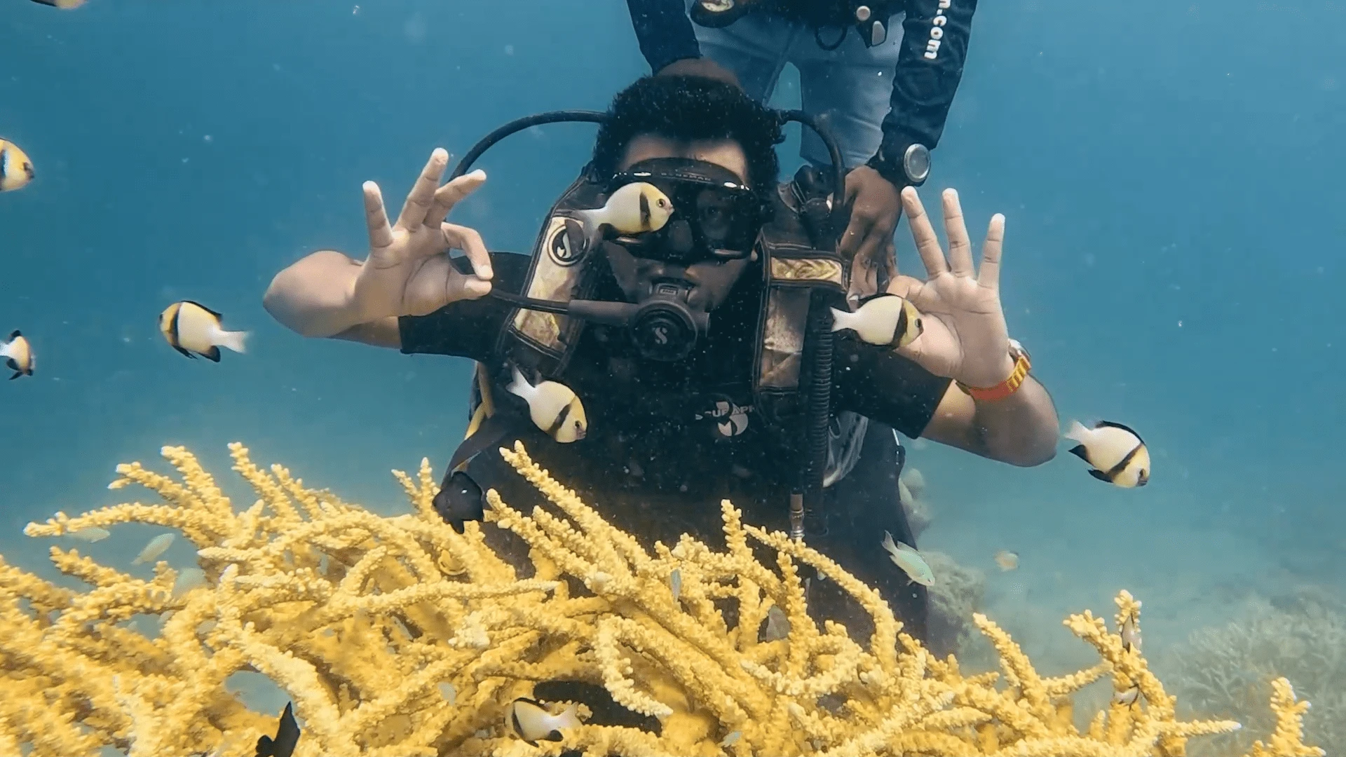 Boat Diving At Turtle Beach ( Discover Scuba Dive, PADI Program)