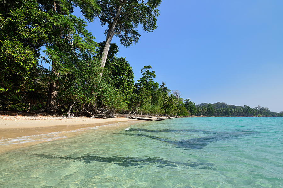 Enjoy Corbyn’s Cove Beach in Port Blair’s Serene Beauty